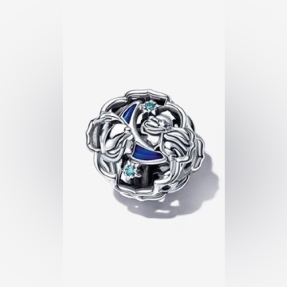 Pandora | Jewelry | Disney Pandora Aladdin Jasmine Charm Sterling ...